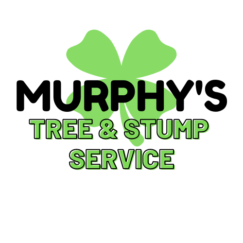 Murphy's Tree & Stump Services | Qualified Arborists & Tree Professionals