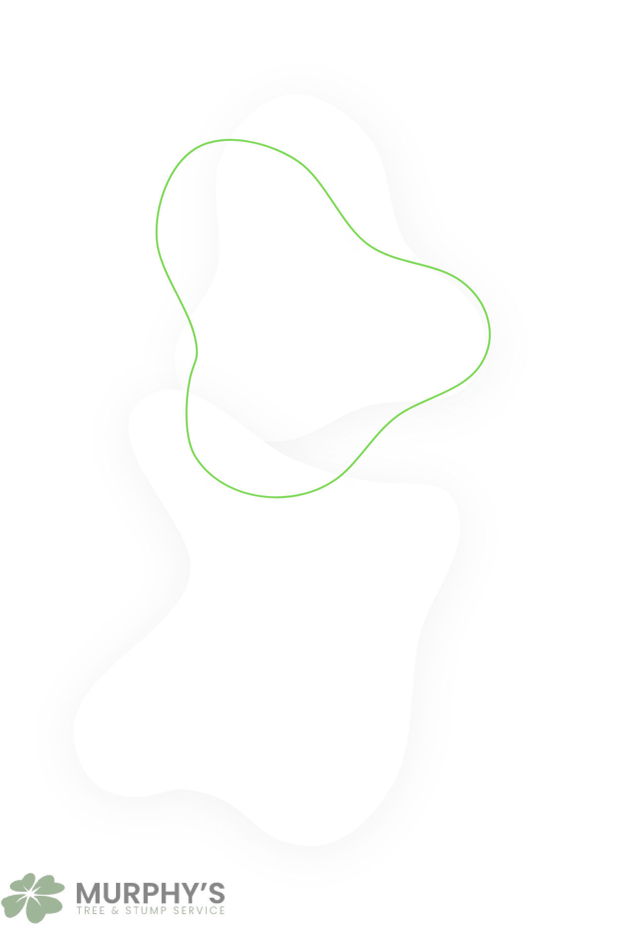 Murphy's Tree & Stump Services | Qualified Arborists & Tree Professionals